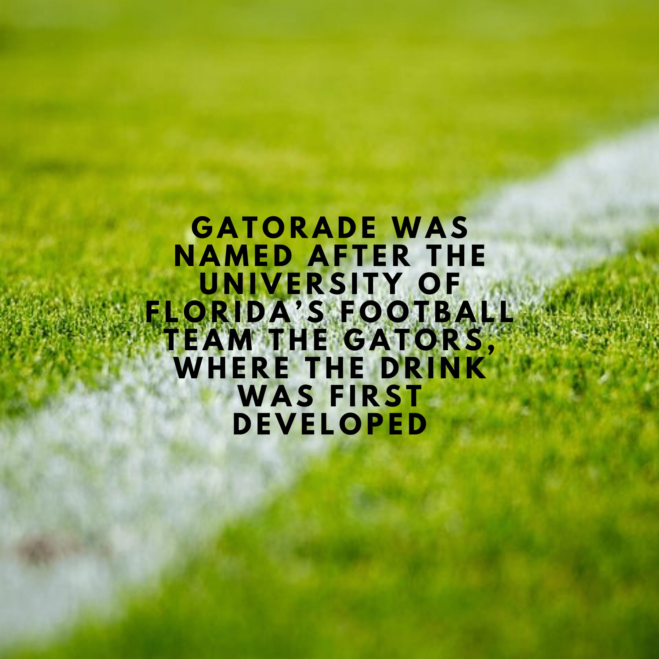 Florida Fun Facts - Florida Adventure Map